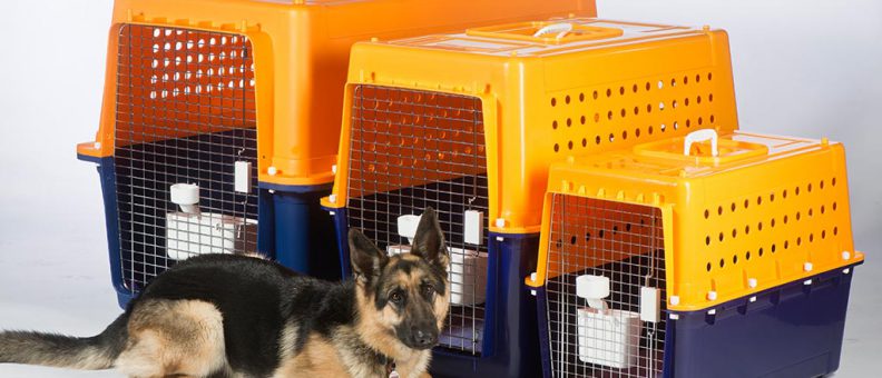 Choosing a Cage - Pacific Shipping Inc.